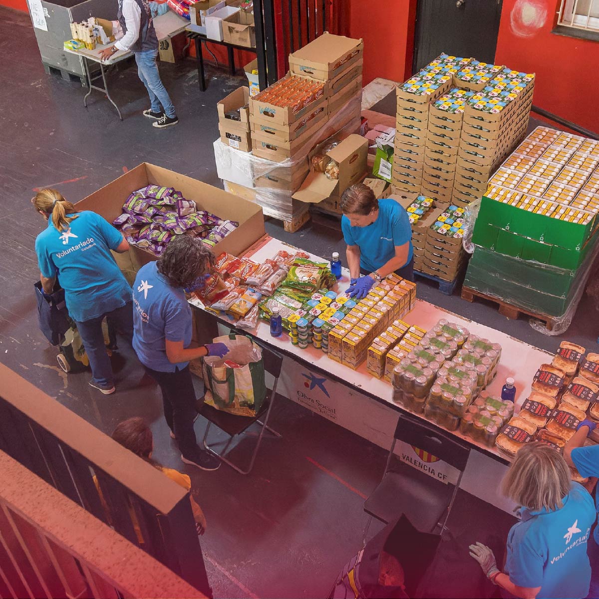 "Ningún hogar sin alimentos" aporta 130.500 euros en la Comunidad ...